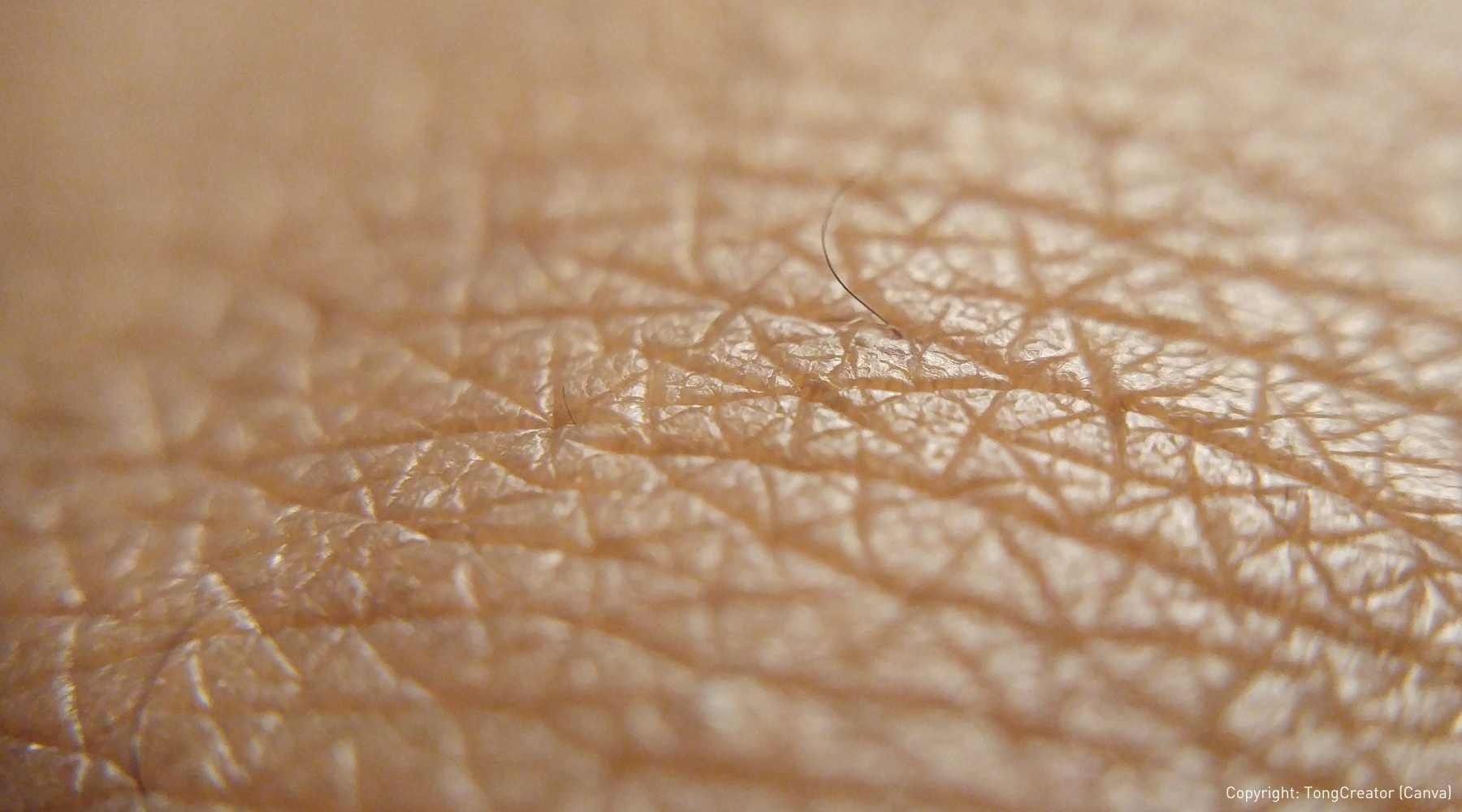 human skin patterns